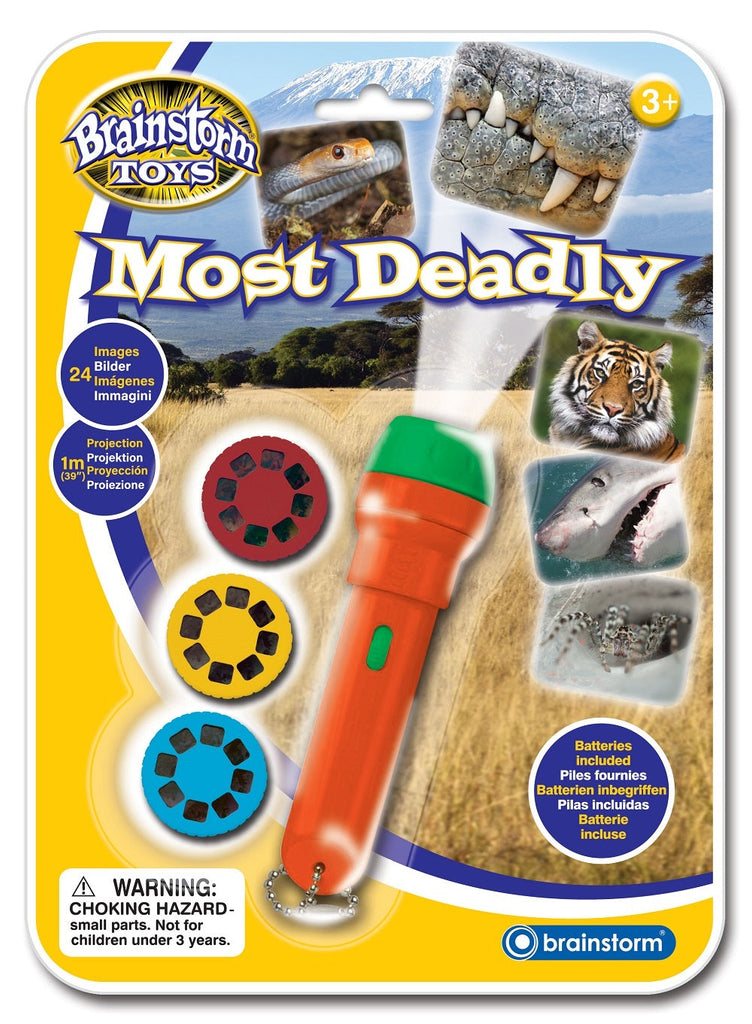 STEAM – The Creative Toy Shop