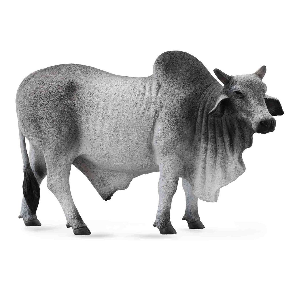 CollectA - Bradley the Brahman Bull Grey – The Creative Toy Shop